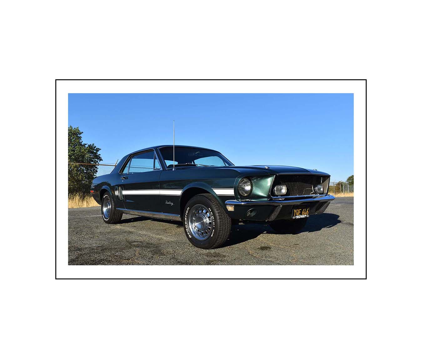 1968 Ford Mustang High Country Special & California Special Photos ...